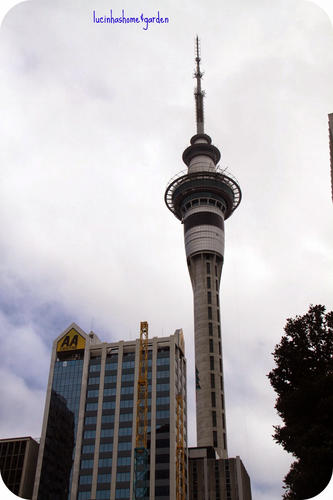 Jardim da Lucinha: Sky tower - Vocês querem conhecê-la?