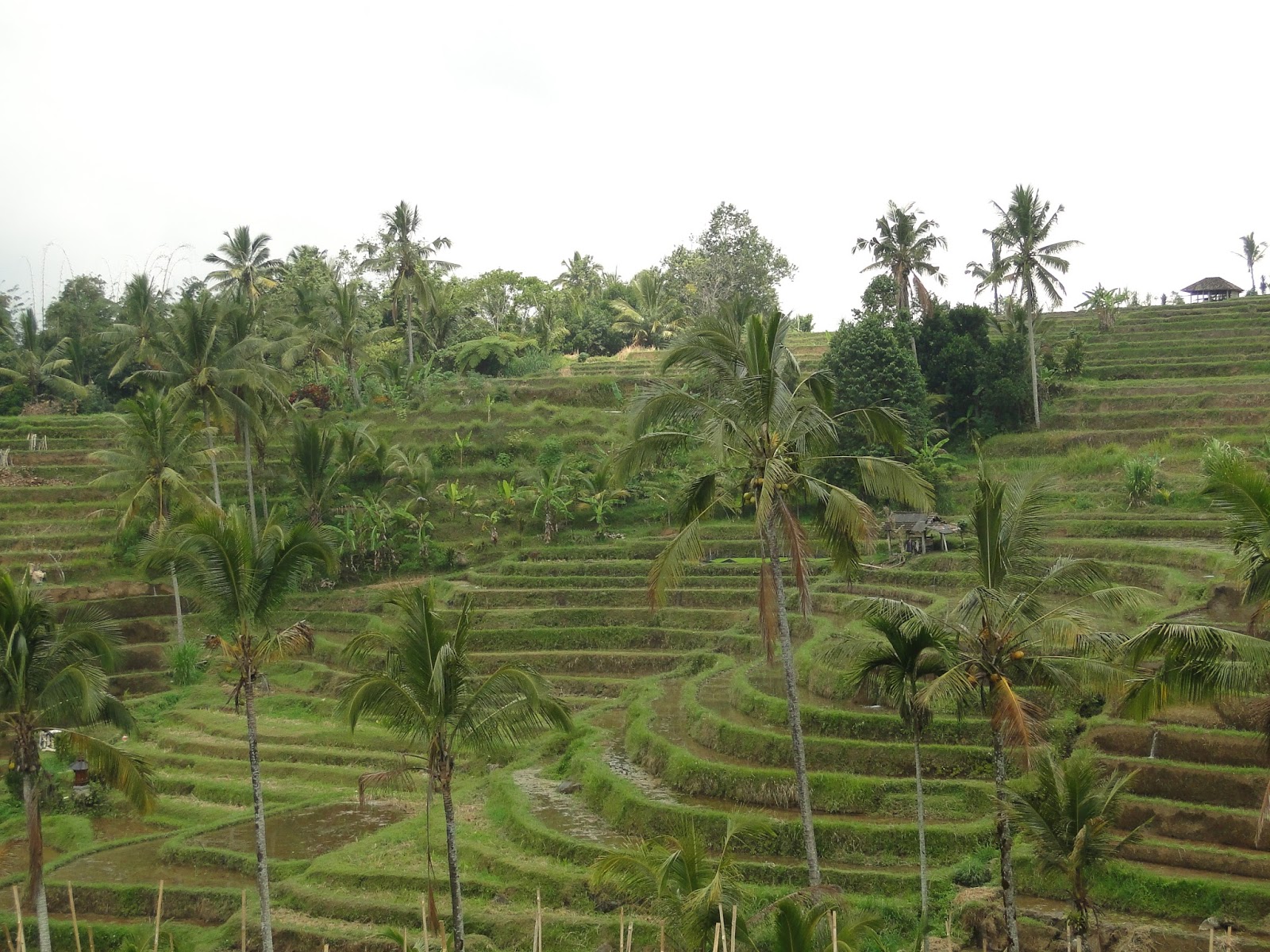 ROTEIRO DE 7 DIAS EM BALI | Fourtrip