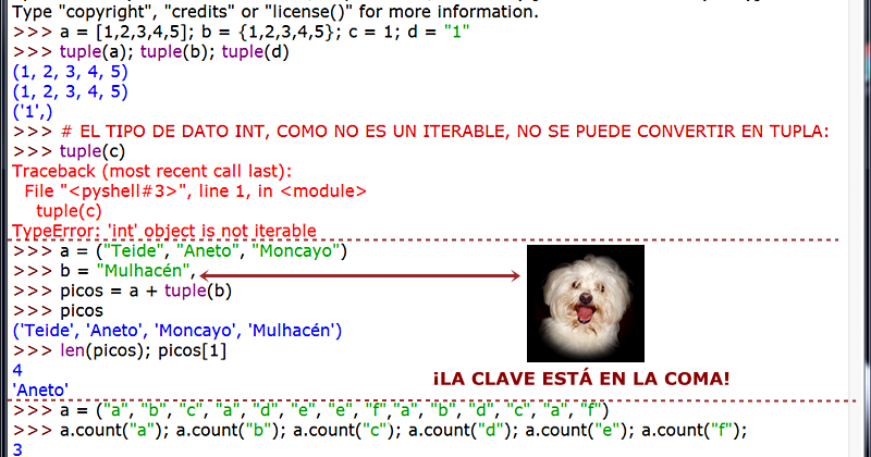 APRENDER A PROGRAMAR CON PYTHON: T4. BLOQUE DE EJERCICIOS 5. SOLUCIONES.