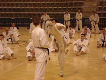 OLYMPIC KARATE SPORT CLUB - Sport Karate, Tang Soo Do : LES STARS DU ...