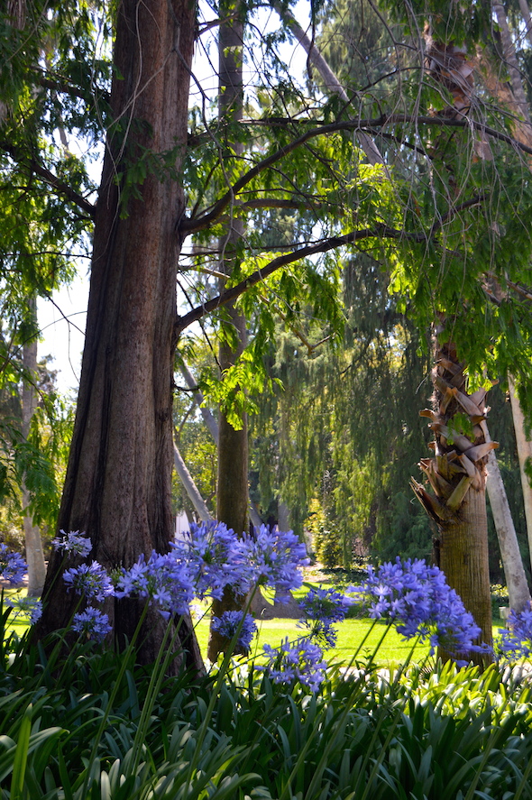 Hello Katie Girl: The Los Angeles Arboretum