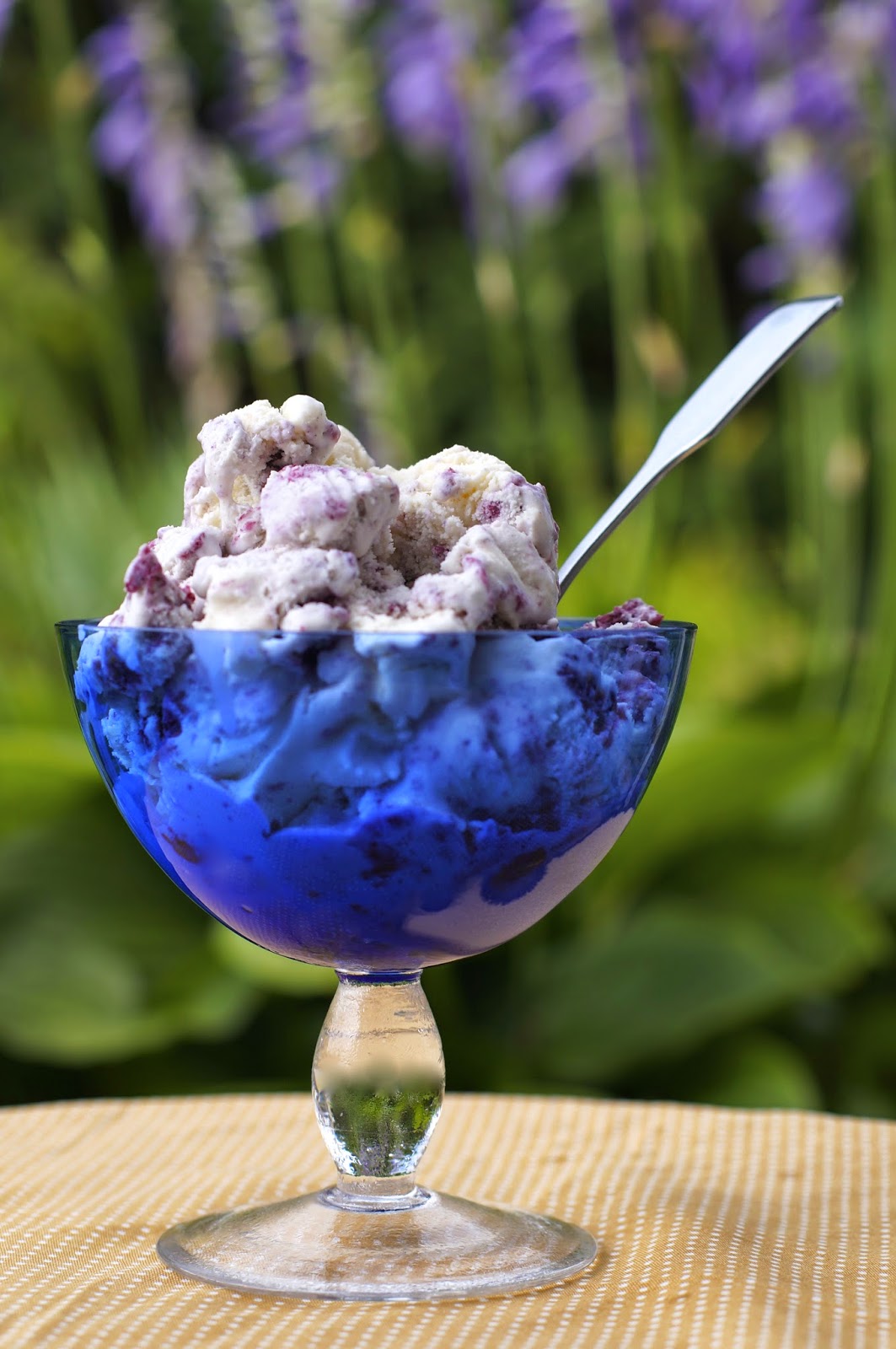 Y'all Come On In The Door's Open: Blueberry Cobbler Ice Cream