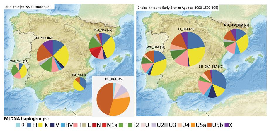 Bell Beaker Blogger: Maternal Genetic Makeup of the Iberian Peninsula ...