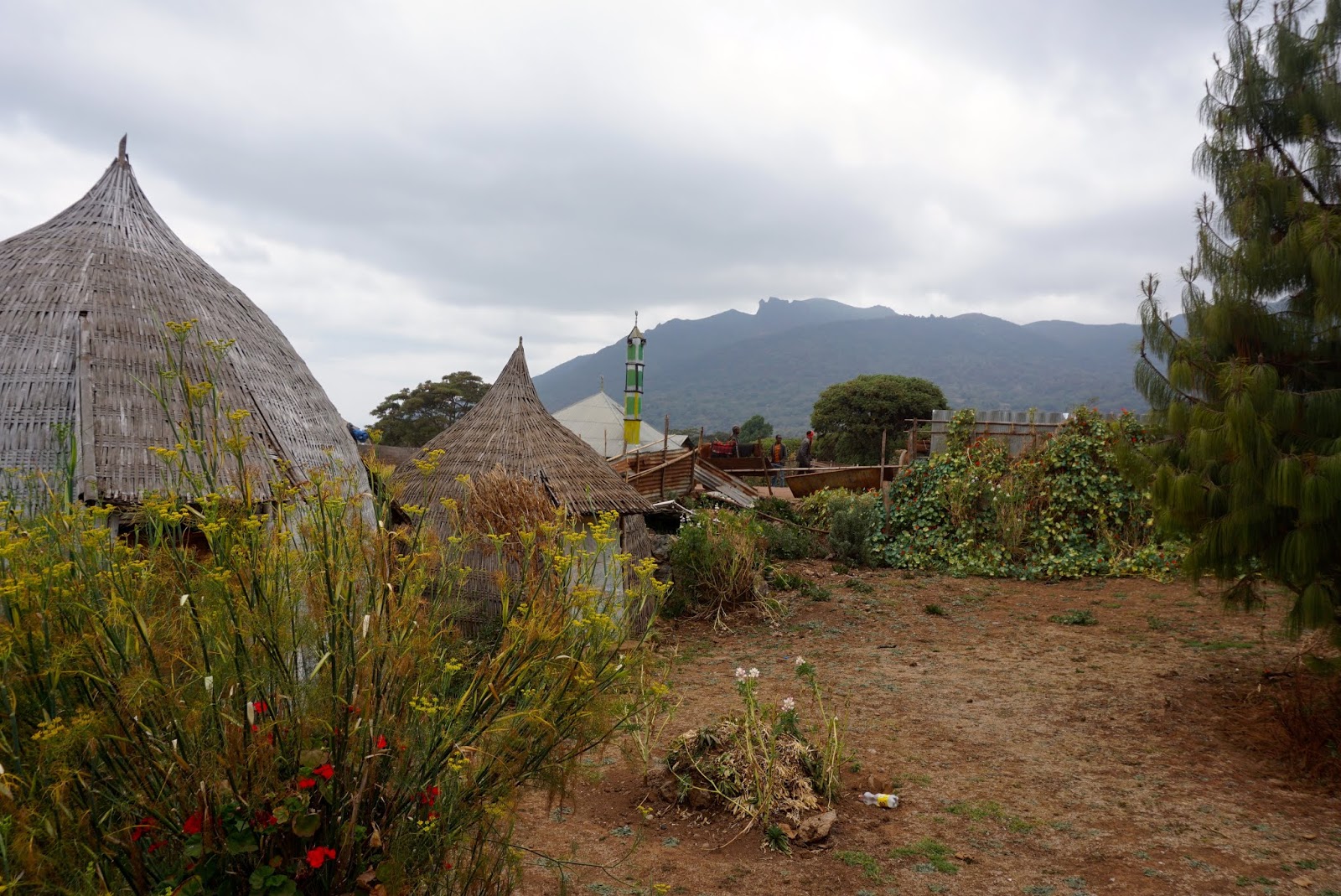 Mindy's Ramblings: April 2019