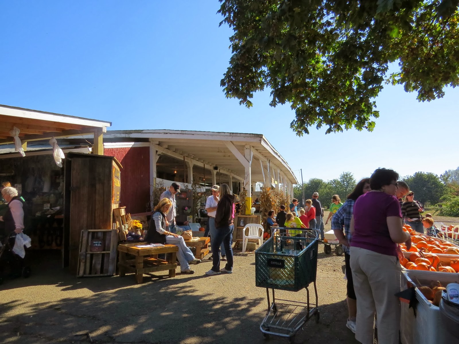 Photos by Jan: A Trip to Detering Orchards; in Harrisburg, Oregon