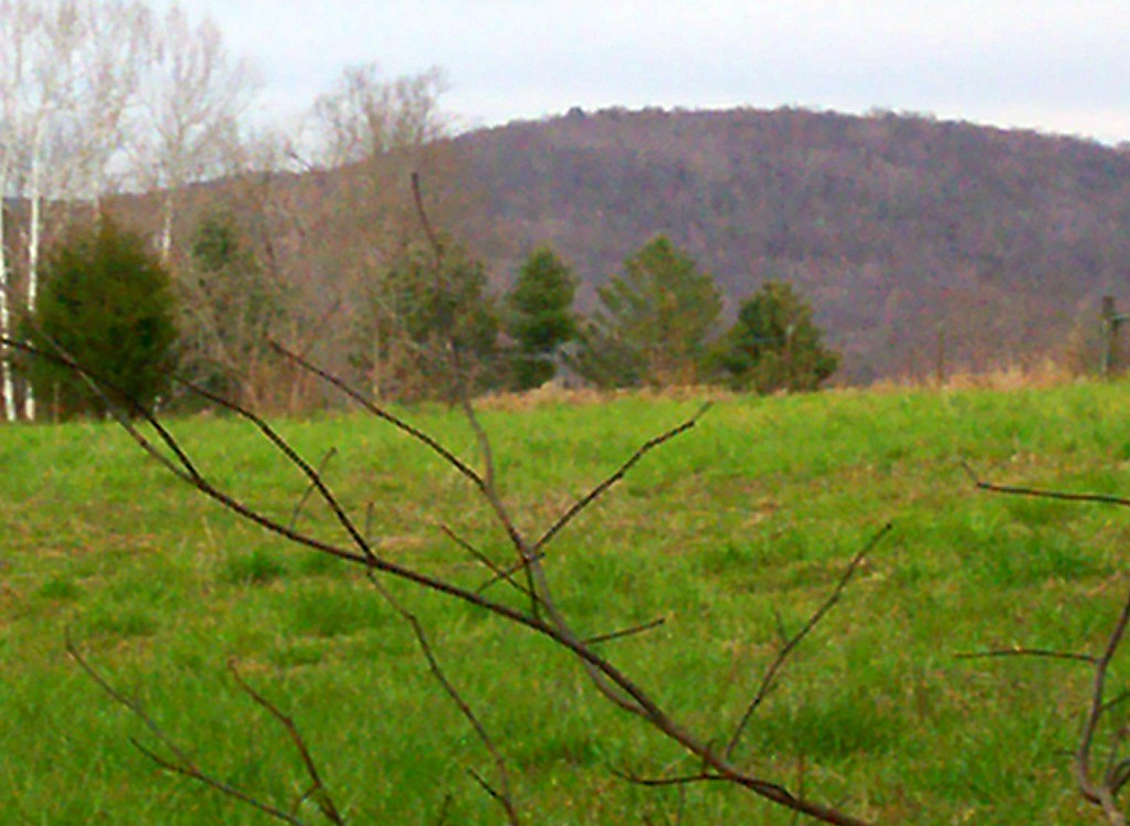 Lone Wolf Concerto: TREADING QUICKSAND