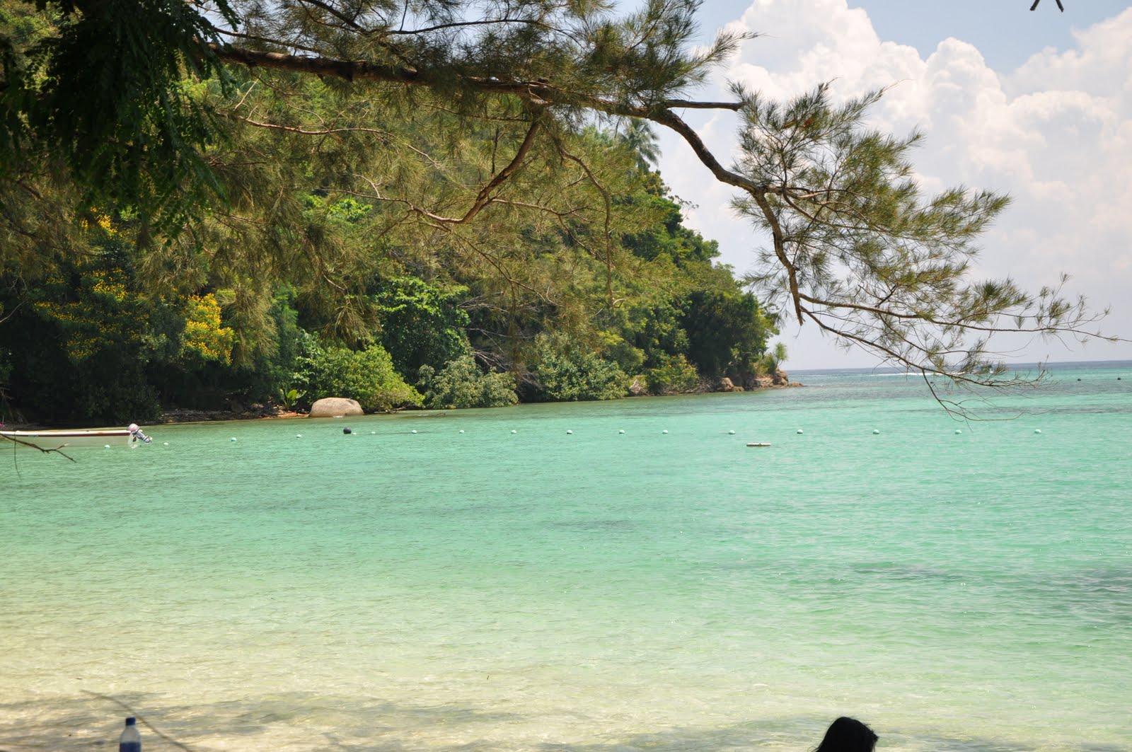 itu ini sana sini: Pulau Sapi, Pulau Manukan, Pasar Philiphine #2