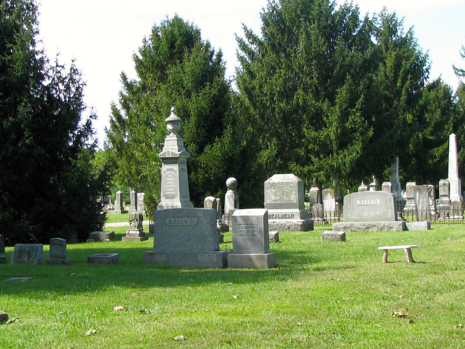 A Grave Interest: Cedars in the Cemetery