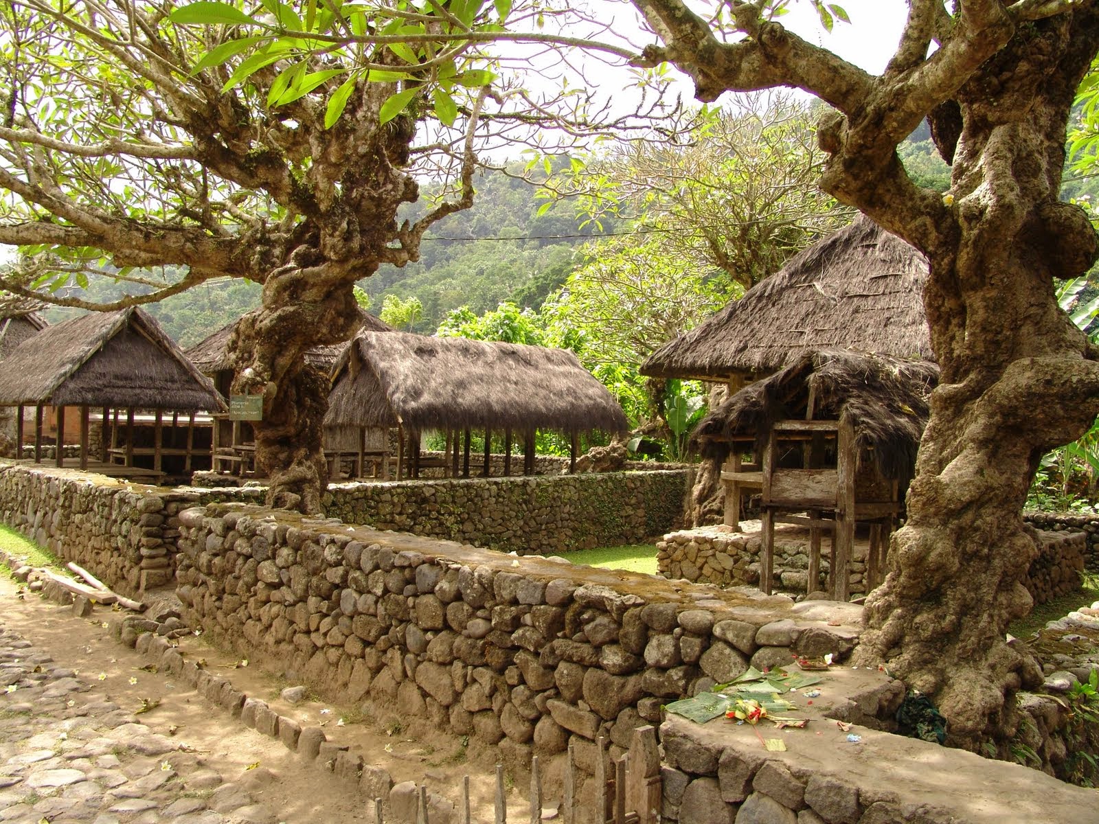 Bali Trip Vacations: Tenganan Village