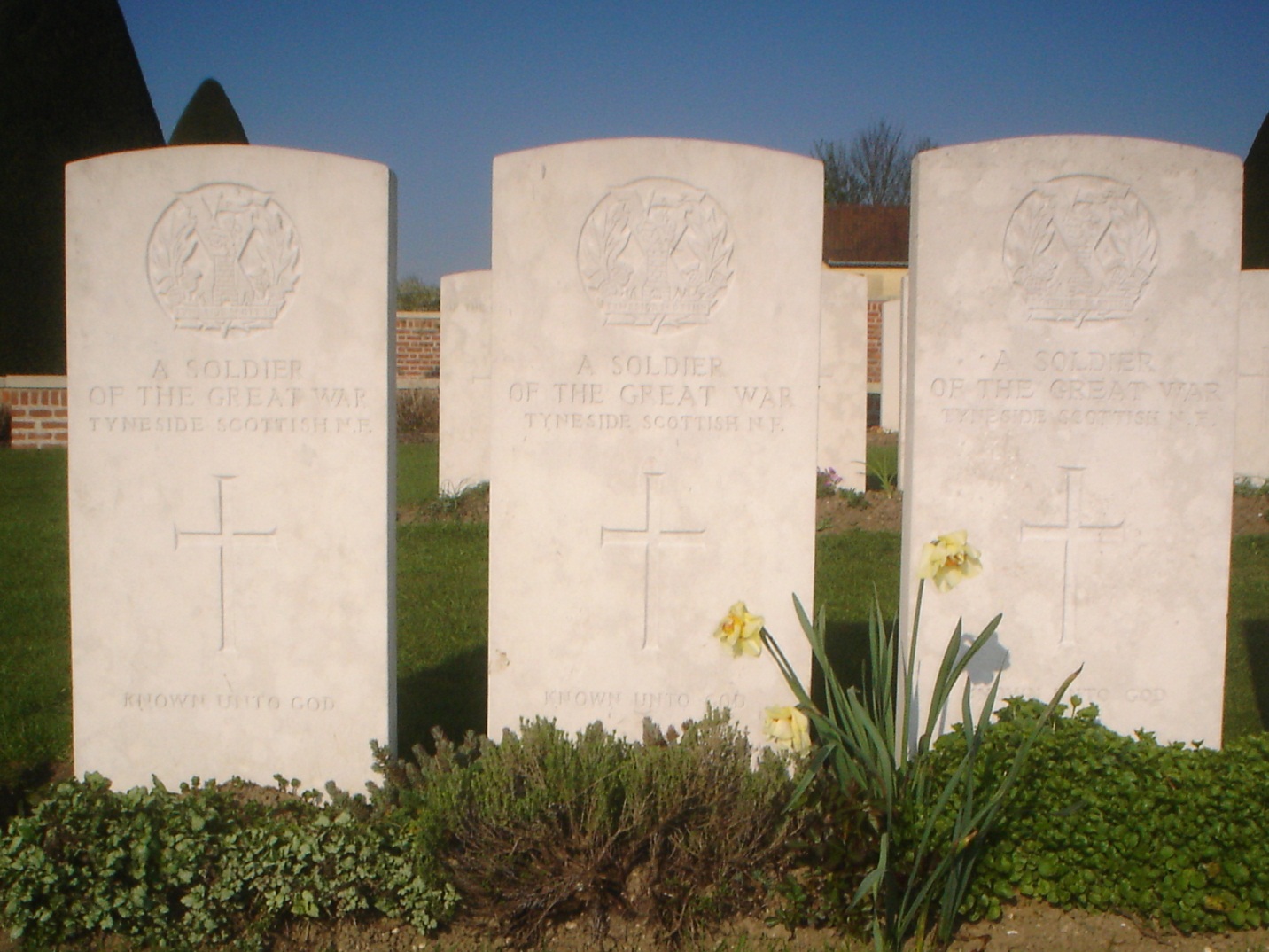 Tyneside Scottish: Tyneside Scottish Brigade Roll of Honour