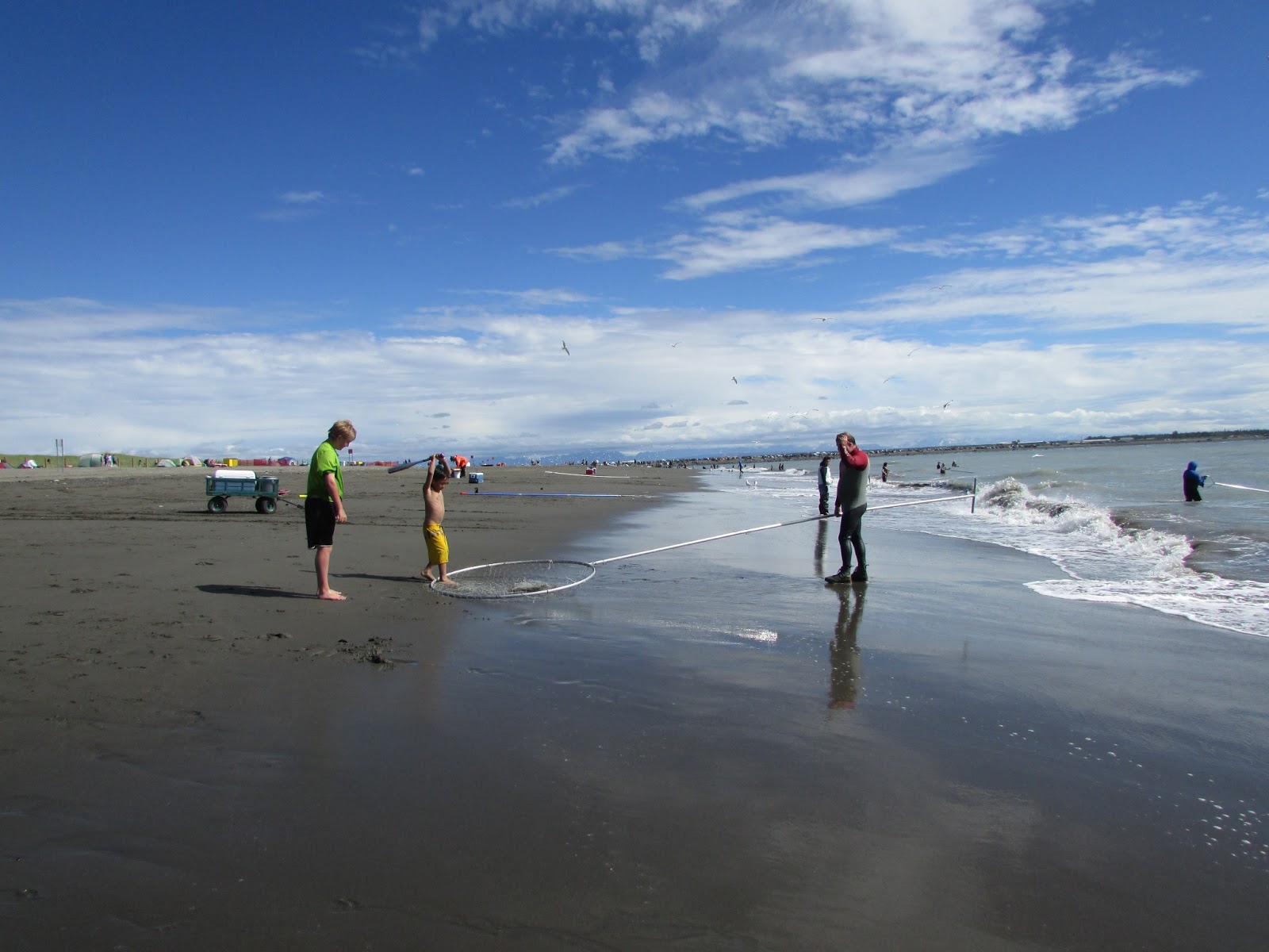 lifeisgoodak: dipnetting at the kenai in alaska