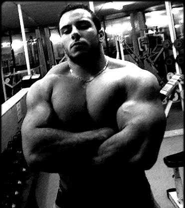 MUSCLANEOUS: Lorenzo's Progress, Part 3