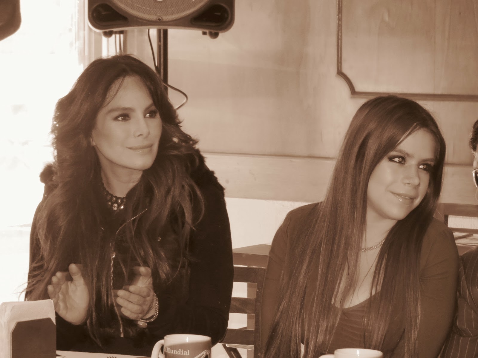 ZONA DE FAMOSOS: ANGELES OCHOA REINA DEL FESTIVAL INTERNACIONAL DEL DIA ...