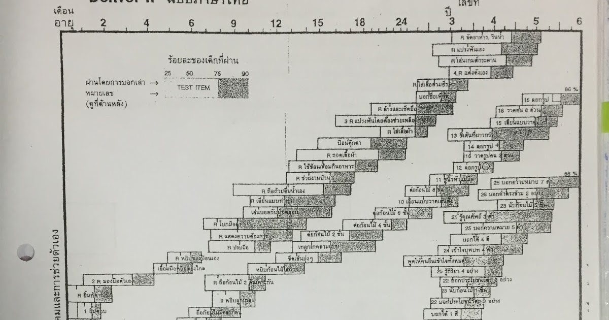 หมอสามัญประจำบ้าน: Denver II Part 1