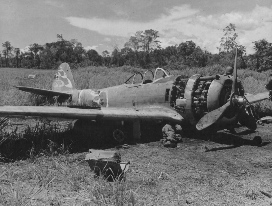 WildEagles: Nakajima Ki-43 "Hayabusa" (Oscar) - 248 Sentai