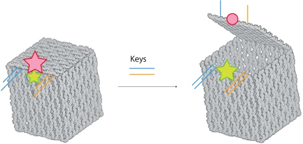 DNA-based switchable devices and materials | NextBigFuture.com