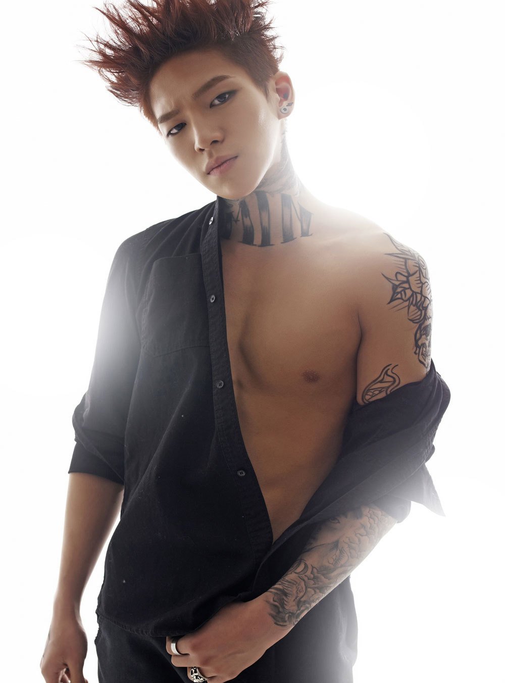 Profile Dalmatian | All K-POP World