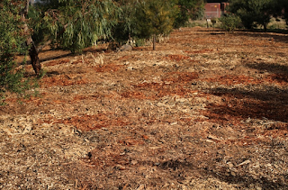 Mulching | Definition, Benefits and its Popularity ~ Fantastic Fundas