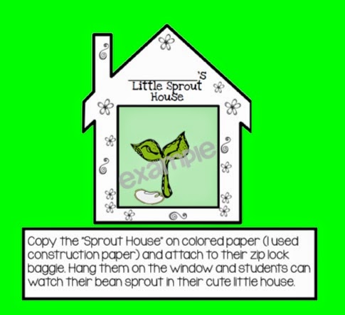 Classy in Kinder now Fancy in First: Freebie Friday!