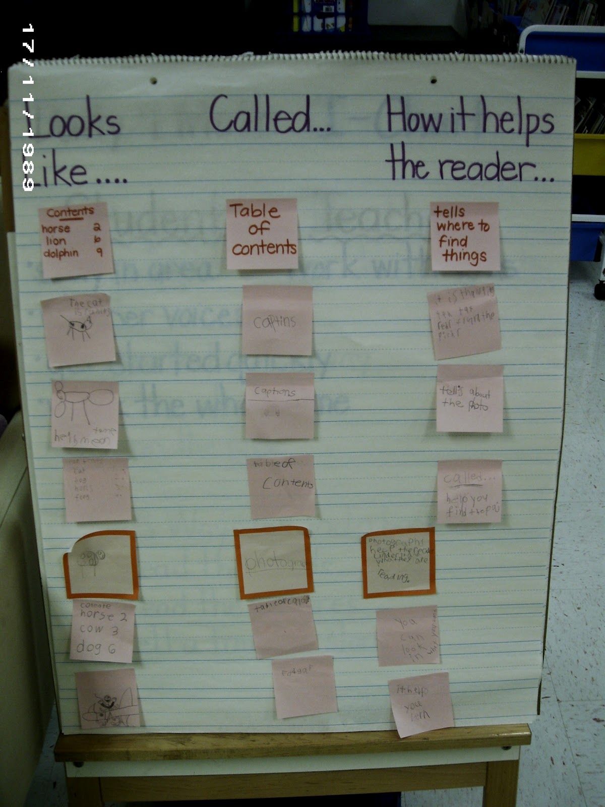 Two Tacky Teachers: Non- Fiction Text Features