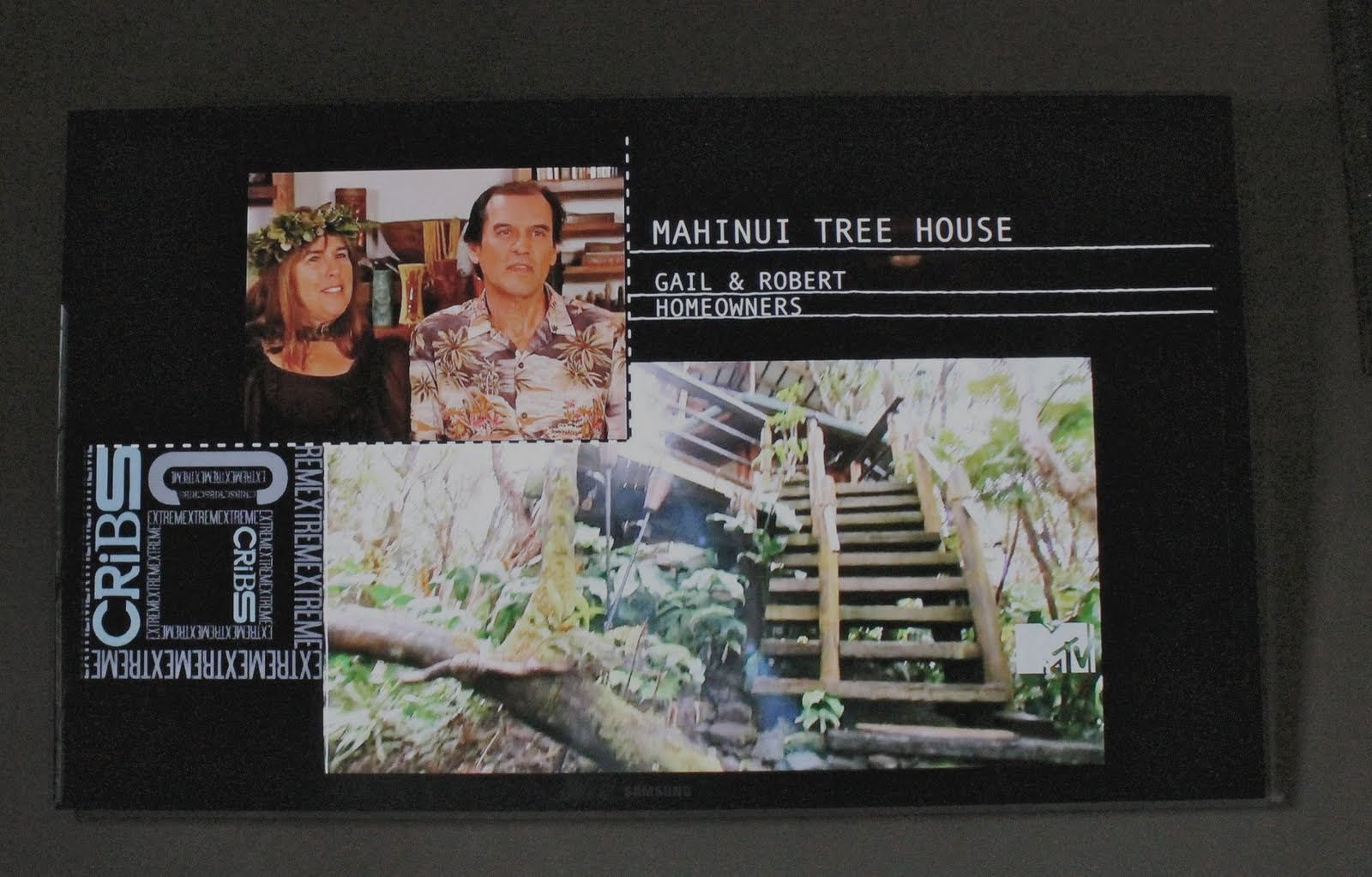 Rainforest Weddings: August 2011