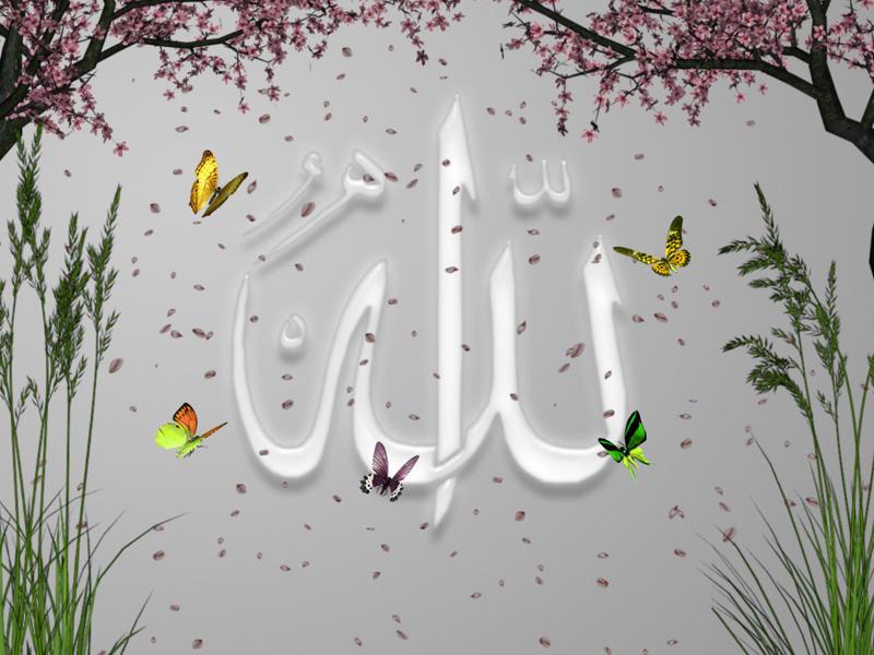 Islamic pictures images, Islamic pictures gallery, Muslim pictures ...
