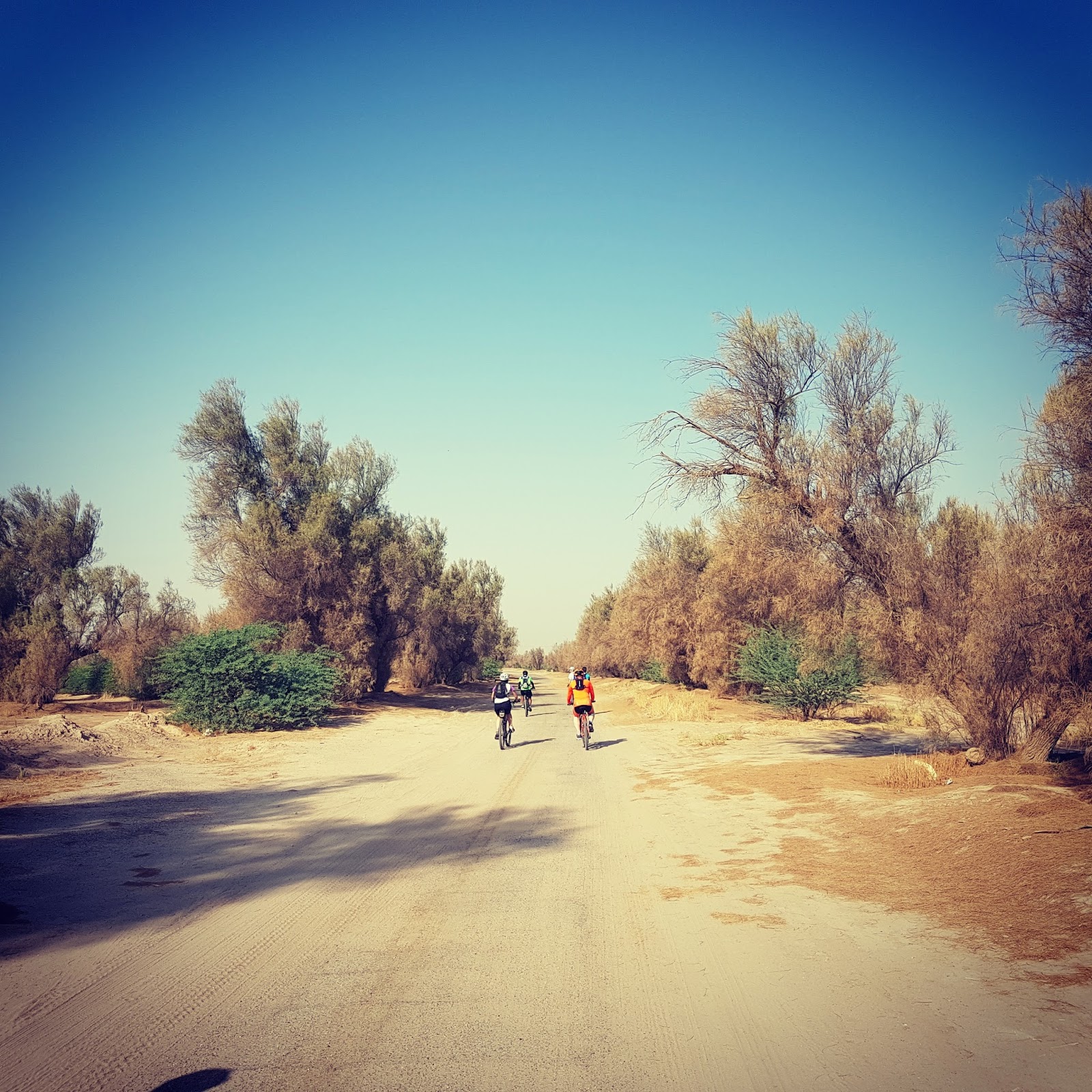 GAATEH KUWAIT (CYCLING): ROUTE 07: SULAIBIYA FARM