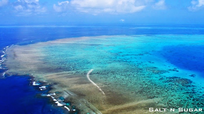 Salt and Sugar: Cairns – Reef Magic Moore Reef Pontoon – 唯一的5 Hours on ...