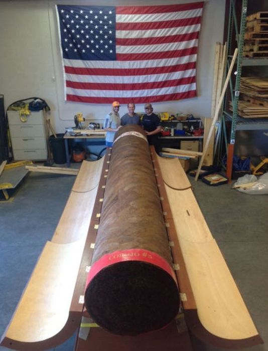 World Of Technology: Collector Pays $185,000 for a Giant Cigar (7 pics)