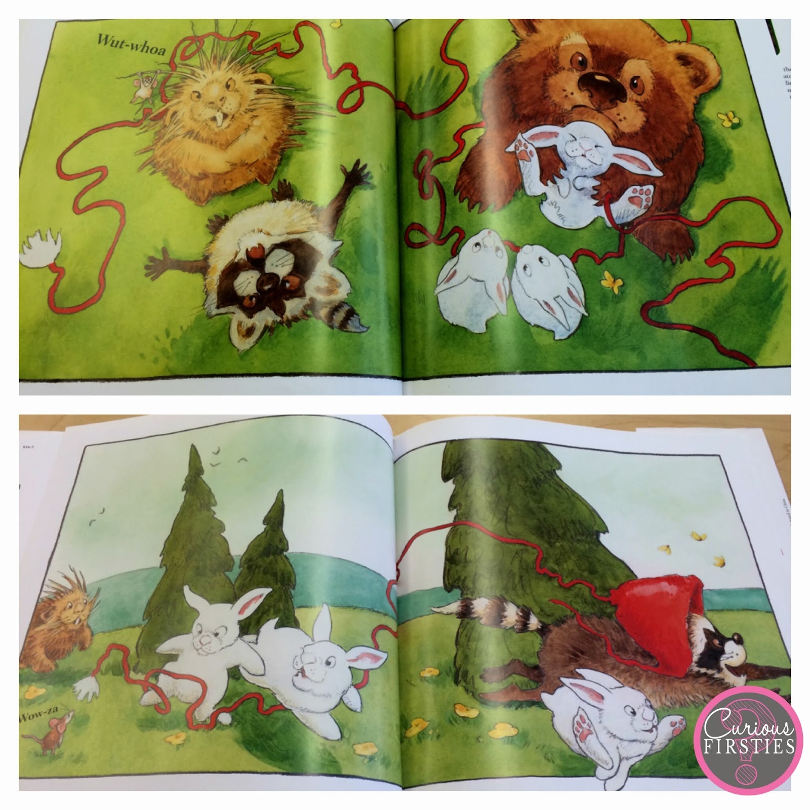 Curious Firsties: Wordless Books for Inferring