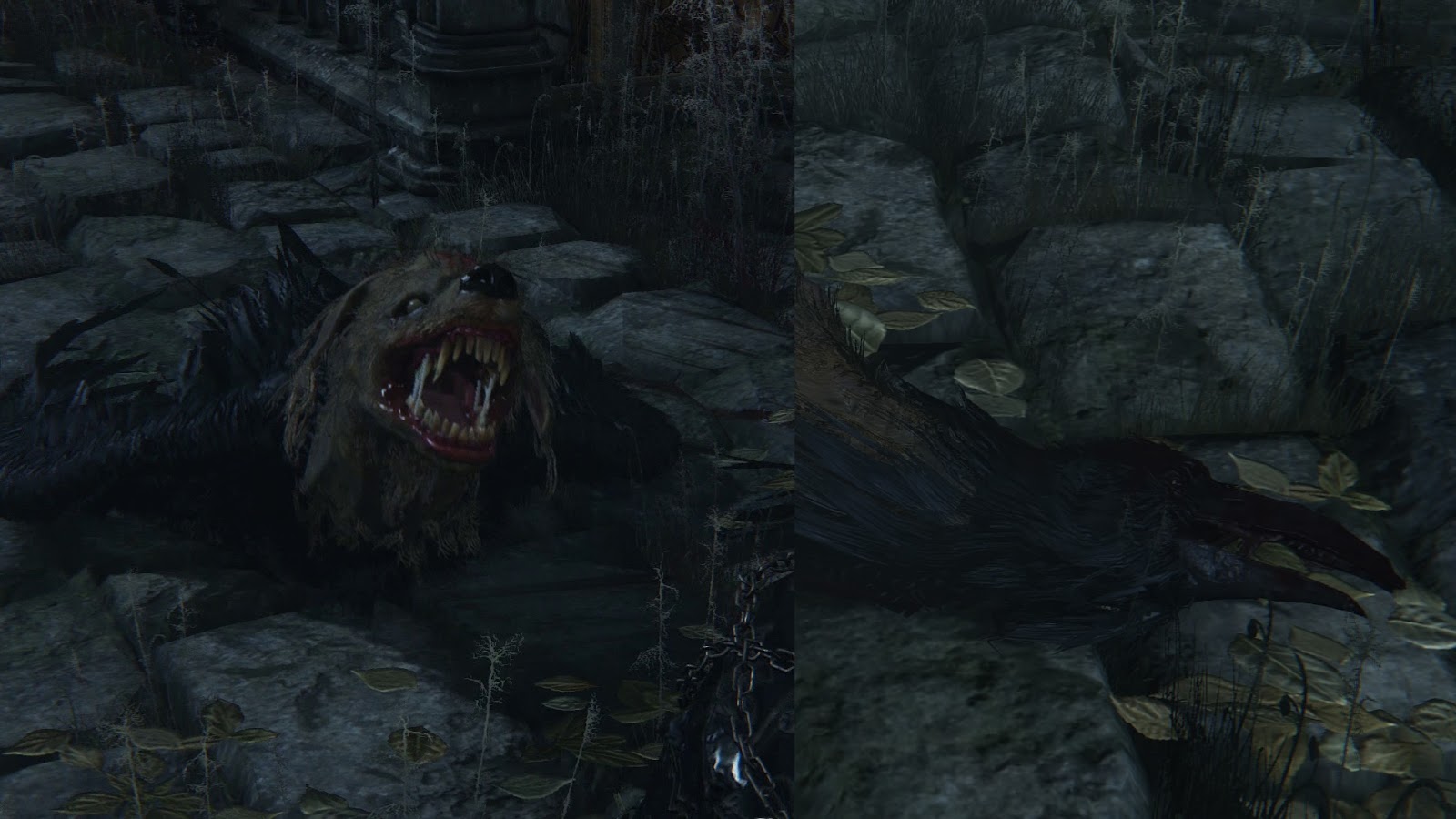 Rabid Dog | Bloodborne Wiki