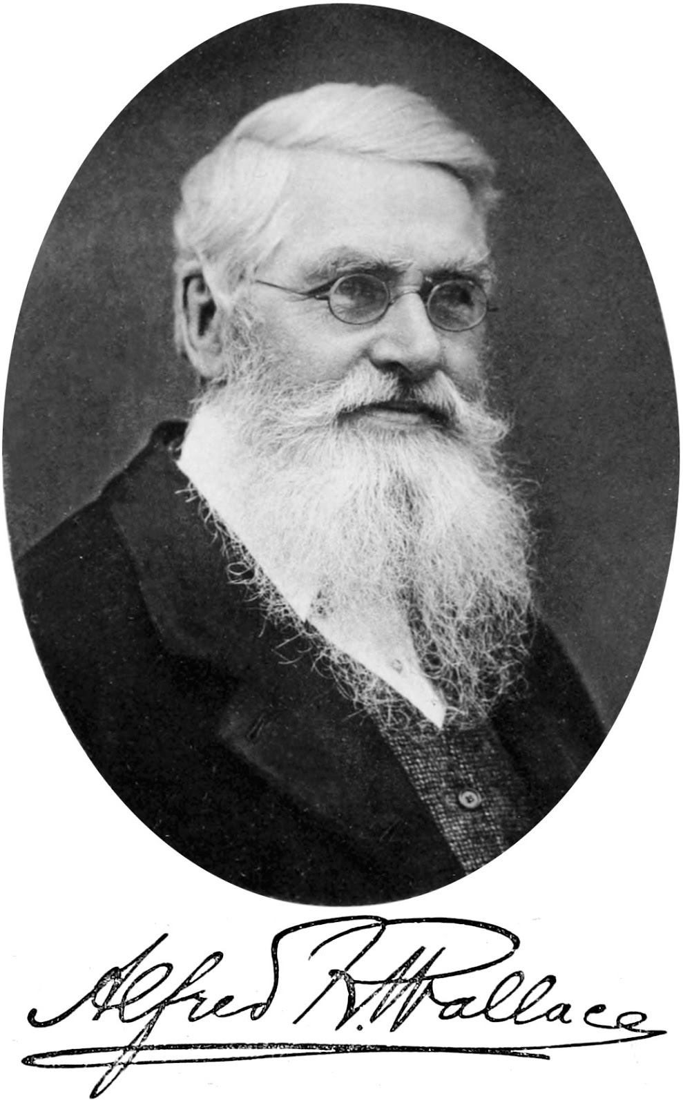 L'angolo della Geologia: Alfred Russel Wallace