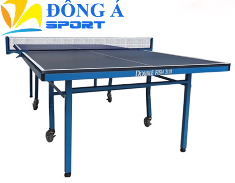 Dụng cụ bóng bàn giá rẻ nhất tại Hà Nội