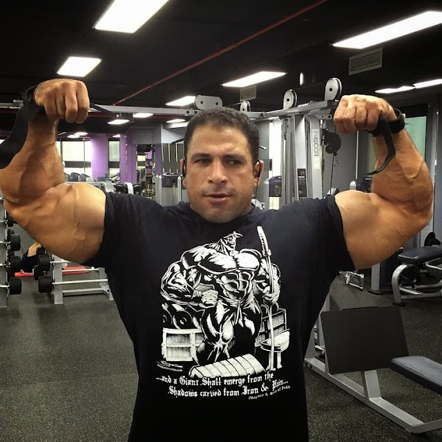 Muscle Lover: Egyptian Super-Heavyweight bodybuilder Mustafa Nesim