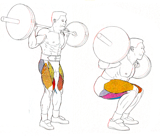 SENTADILLA CON BARRA ~ RUTINAS DE VOLUMEN