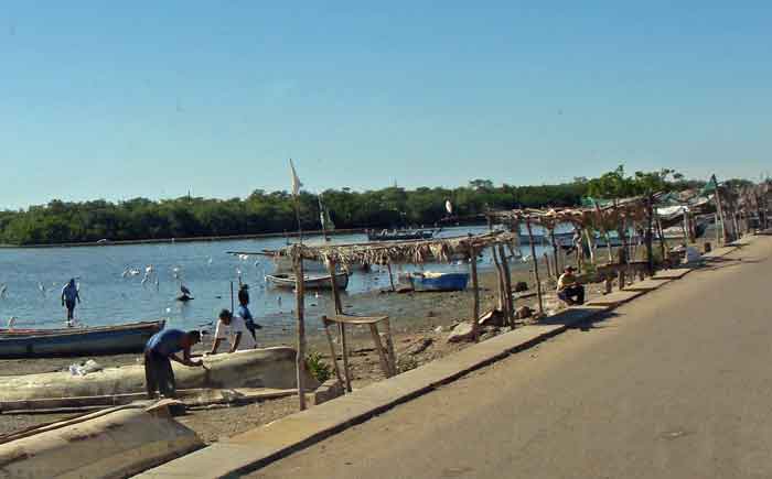 The Golden Years: Fishermen of Yavaros