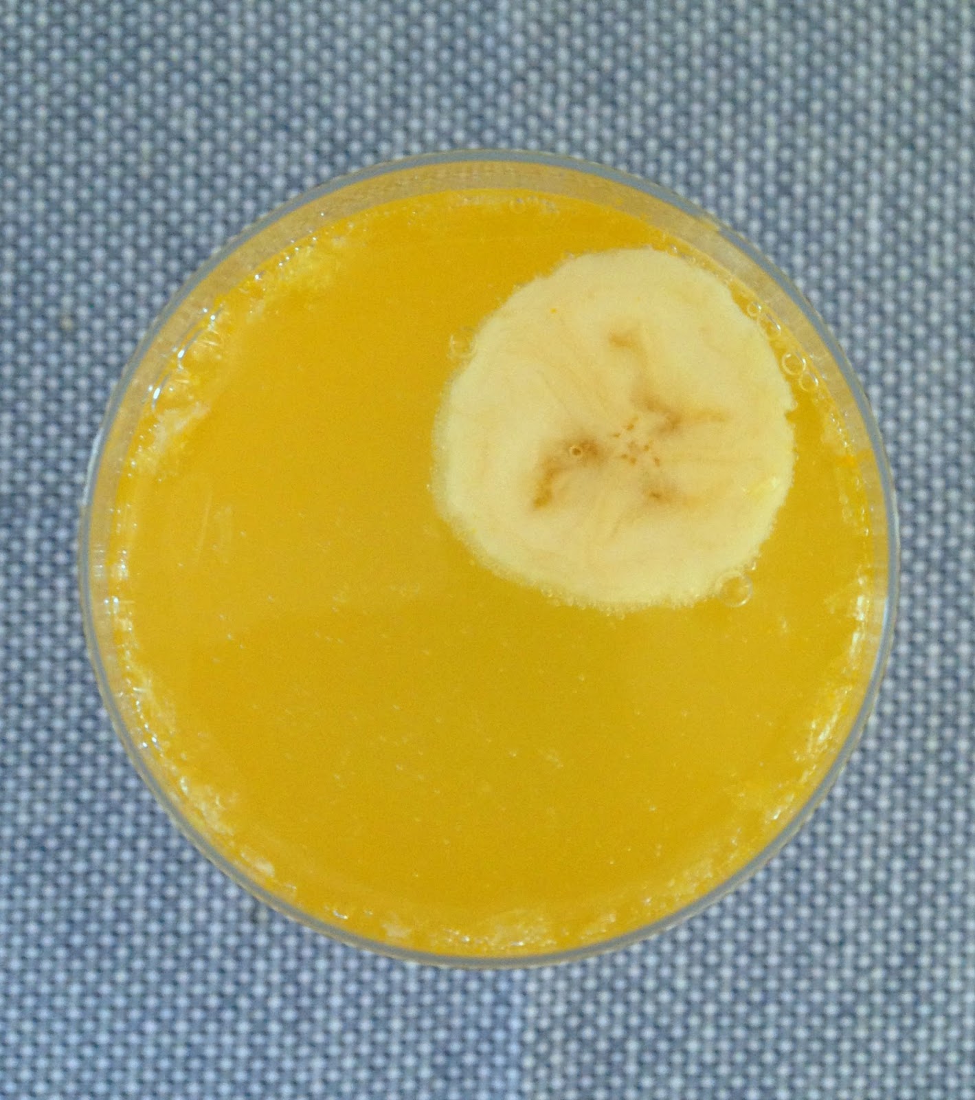 Dooley Noted Style: Sip & Snack - Monkey Mimosa & Vanilla Scented Waffles