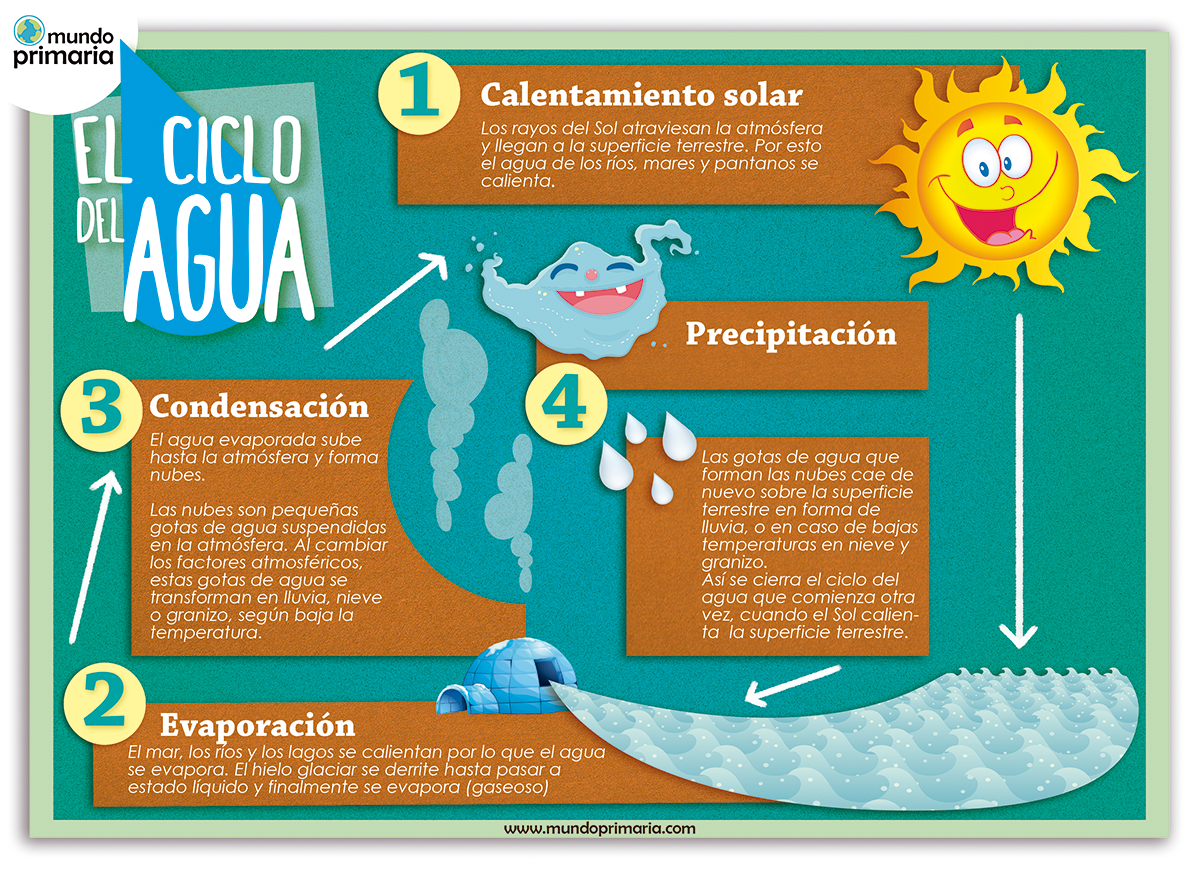 ¿TE AYUDO? CBC: EL CICLO DEL AGUA