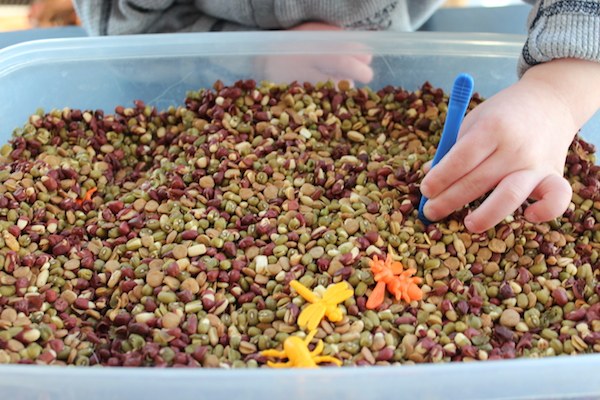 Searching for Bugs Activity for Preschoolers | Sunny Day Family