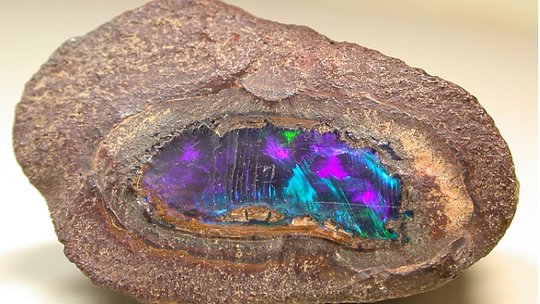 Helsie's Happenings: UNIQUE