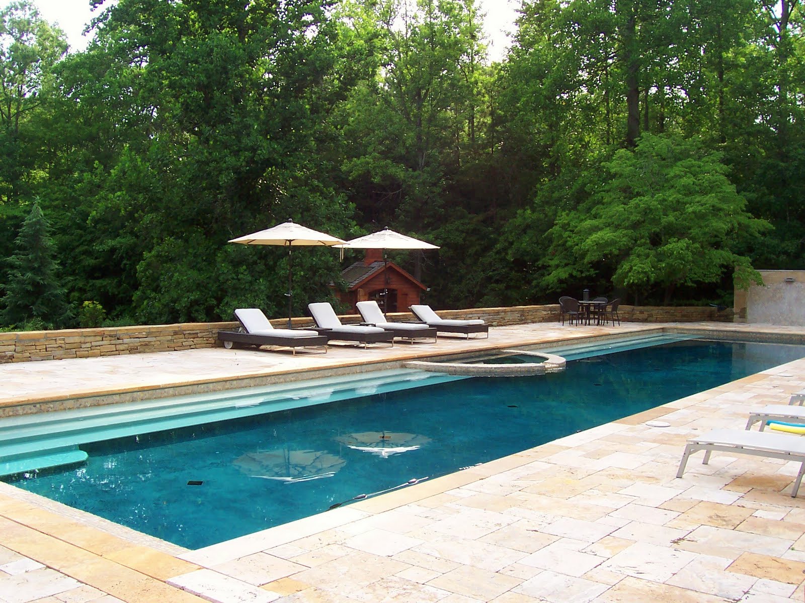 Cooking with Kary: Farm-To-Table Dinner Grouper, Carrot Soup, Salad and ...