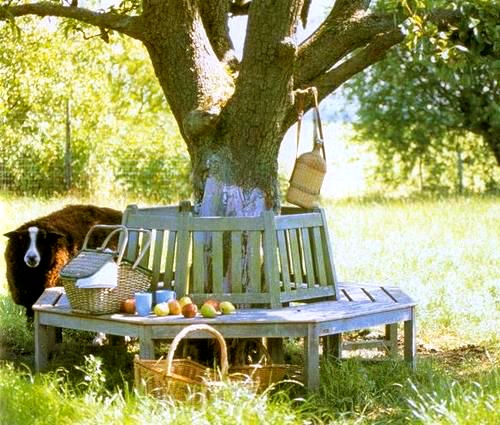 Two Men and a Little Farm: BENCH AROUND TREE INSPIRATION THURSDAY