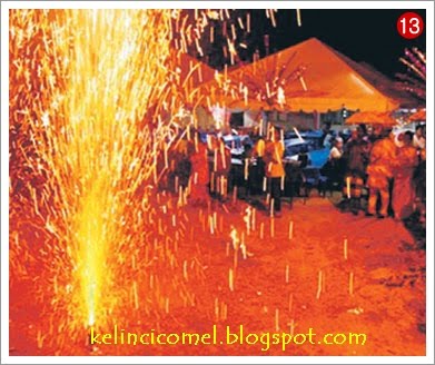 KeLiNcIcOmEl: Bunga Api Buluh