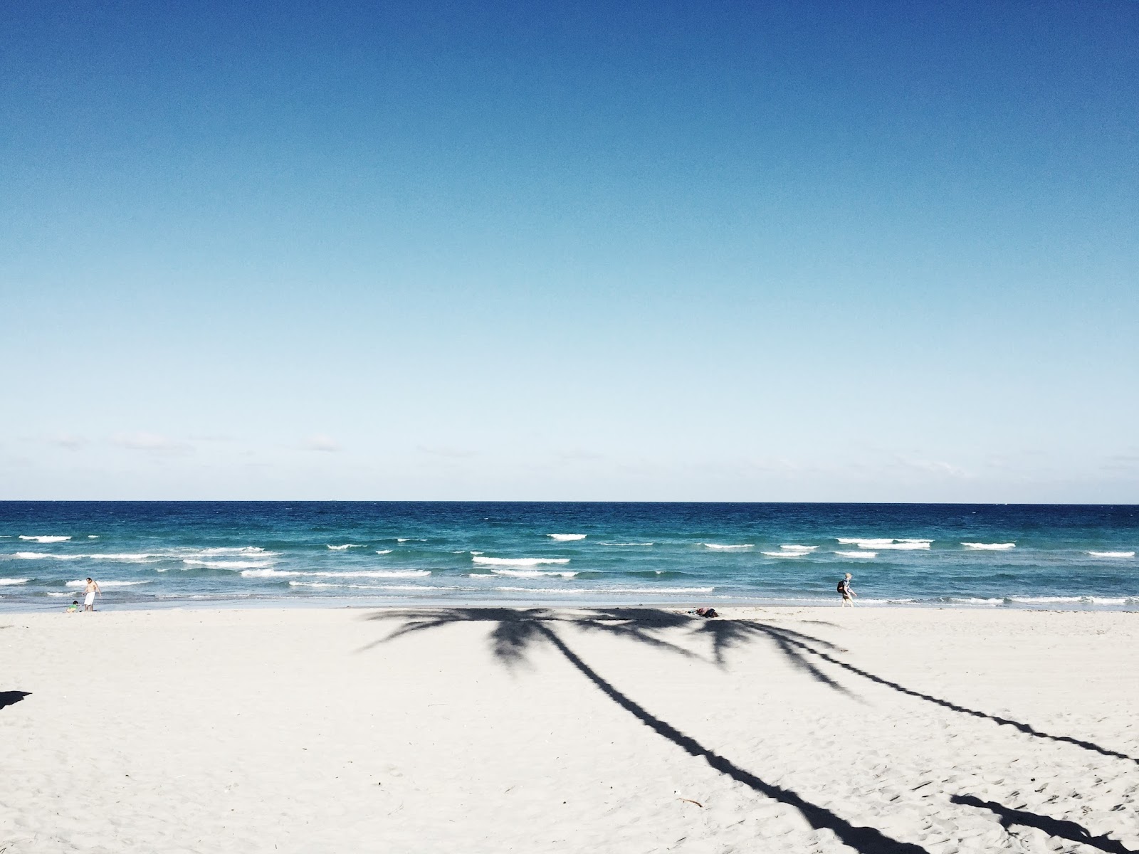 Things to Do This Weekend in Miami: August 8-9 | Colloquial Vibes