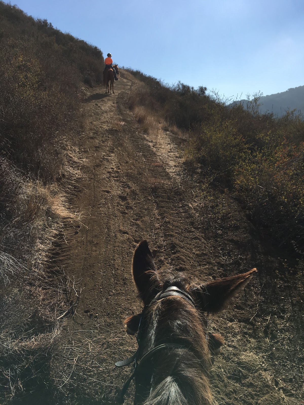 MuleTrail: 2017/10/29 YellowJacket Ranch in the Huasna Valley