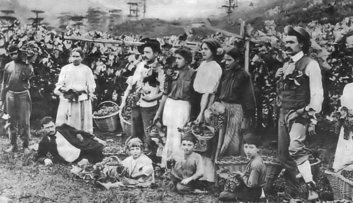 Família Fiorese: OS SENTIMENTOS DOS ANTEPASSADOS ITALIANOS NA ÉPOCA DA ...