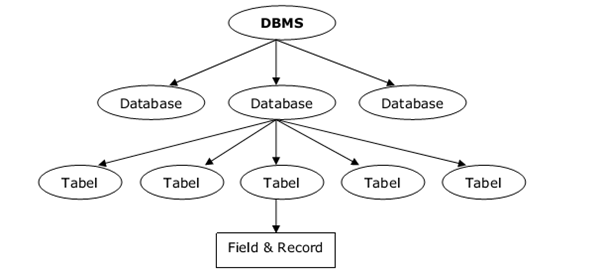 Pengenalan Mysql - Blc Telkom