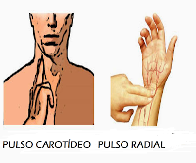 TIPS PARA MEJORAR Y CONTROLAR EL PULSO - PURO TIP - Artículos y ...