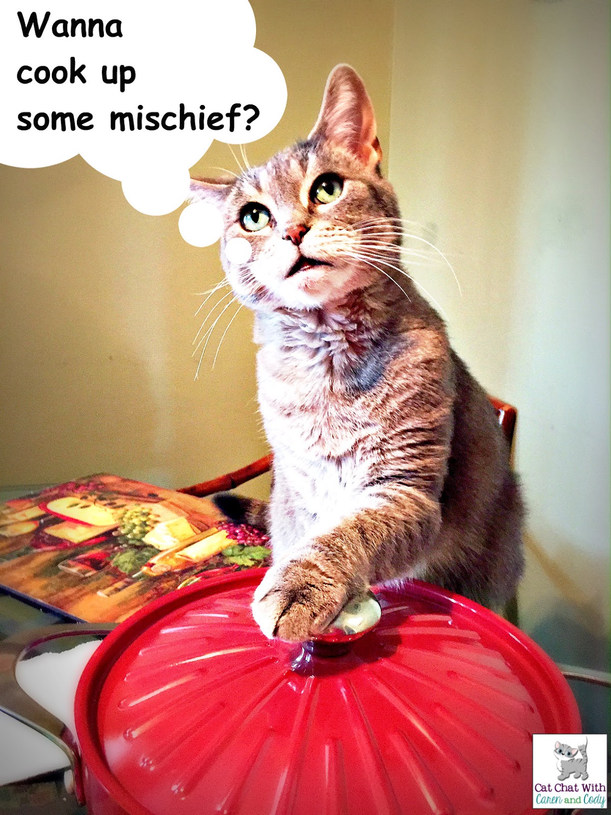 Cat and DOG Chat With Caren: What REAL Cats Are Cooking!!