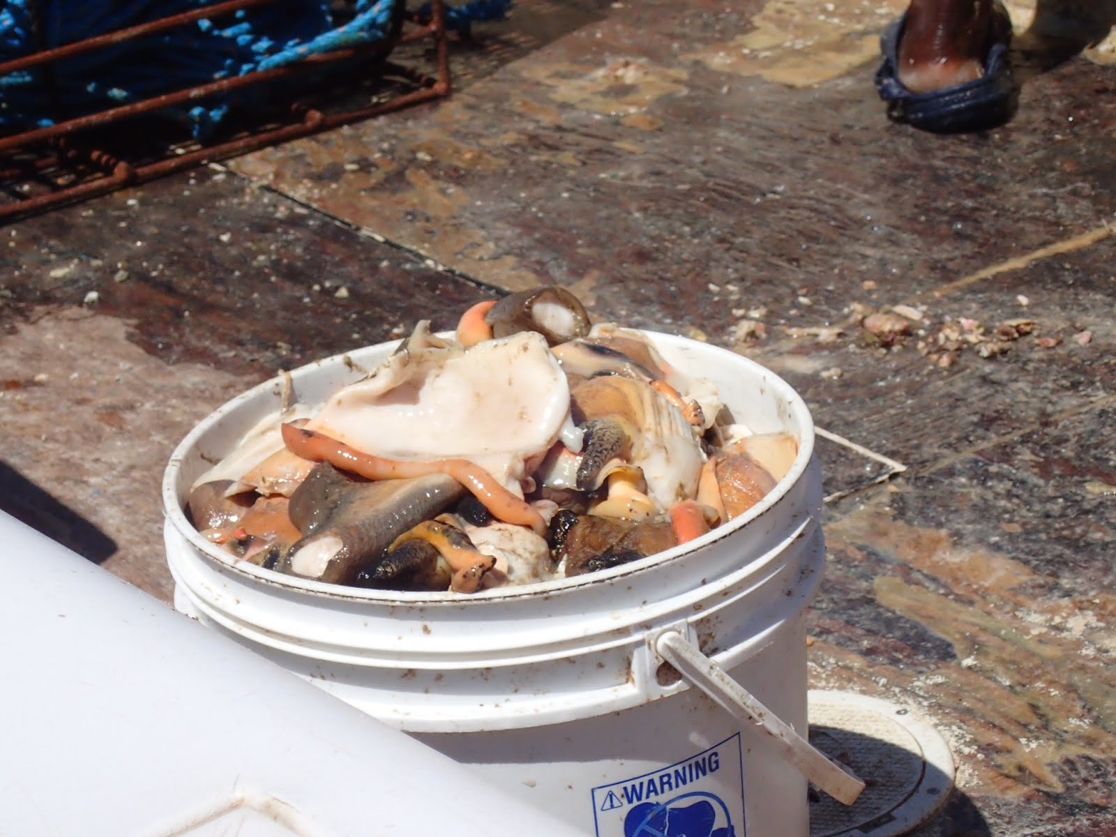 Things we did today...: Chillin’ Like Anguillans